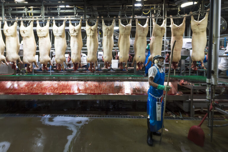 Labor in Food Processing – Will Work For Food